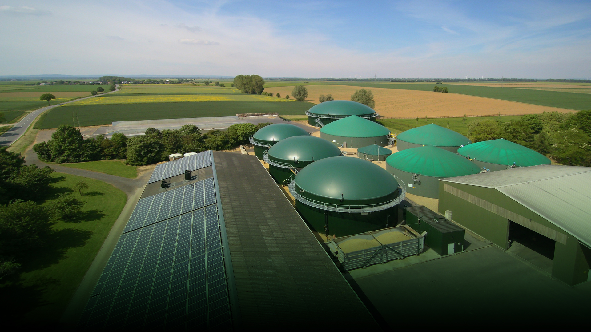 Komplexe Enzym-Technologie kindgerecht erklärt - Biopract